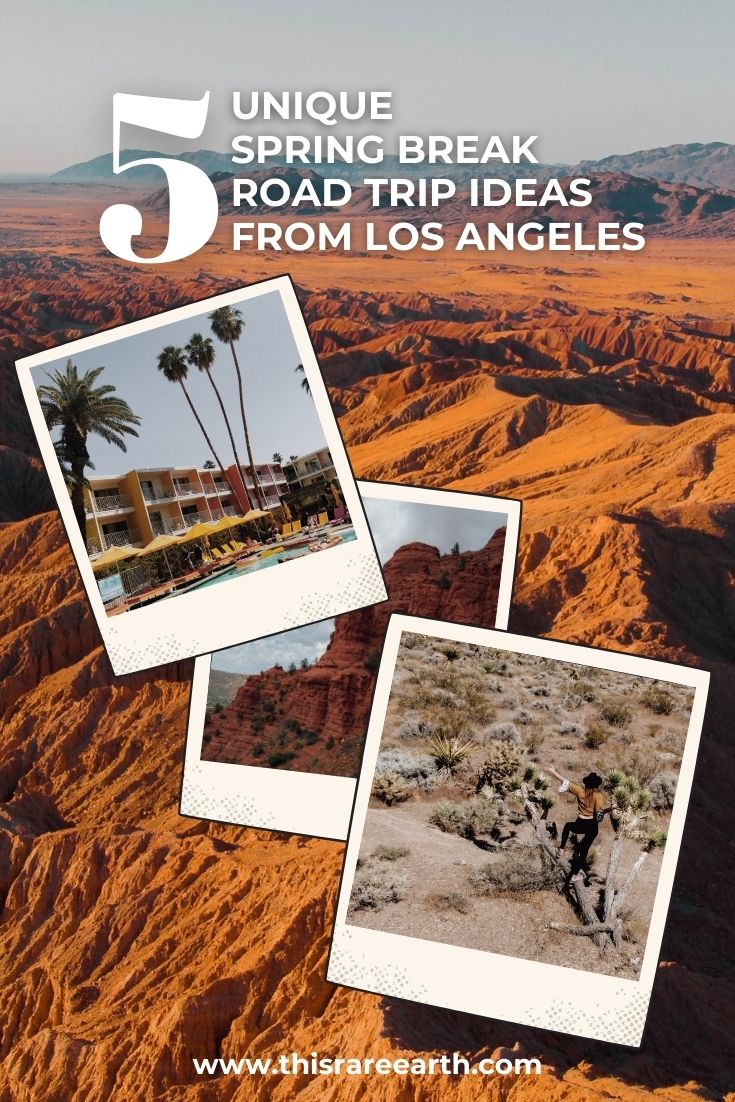 Spring Break Road Trips From Los Angeles - This Rare Earth