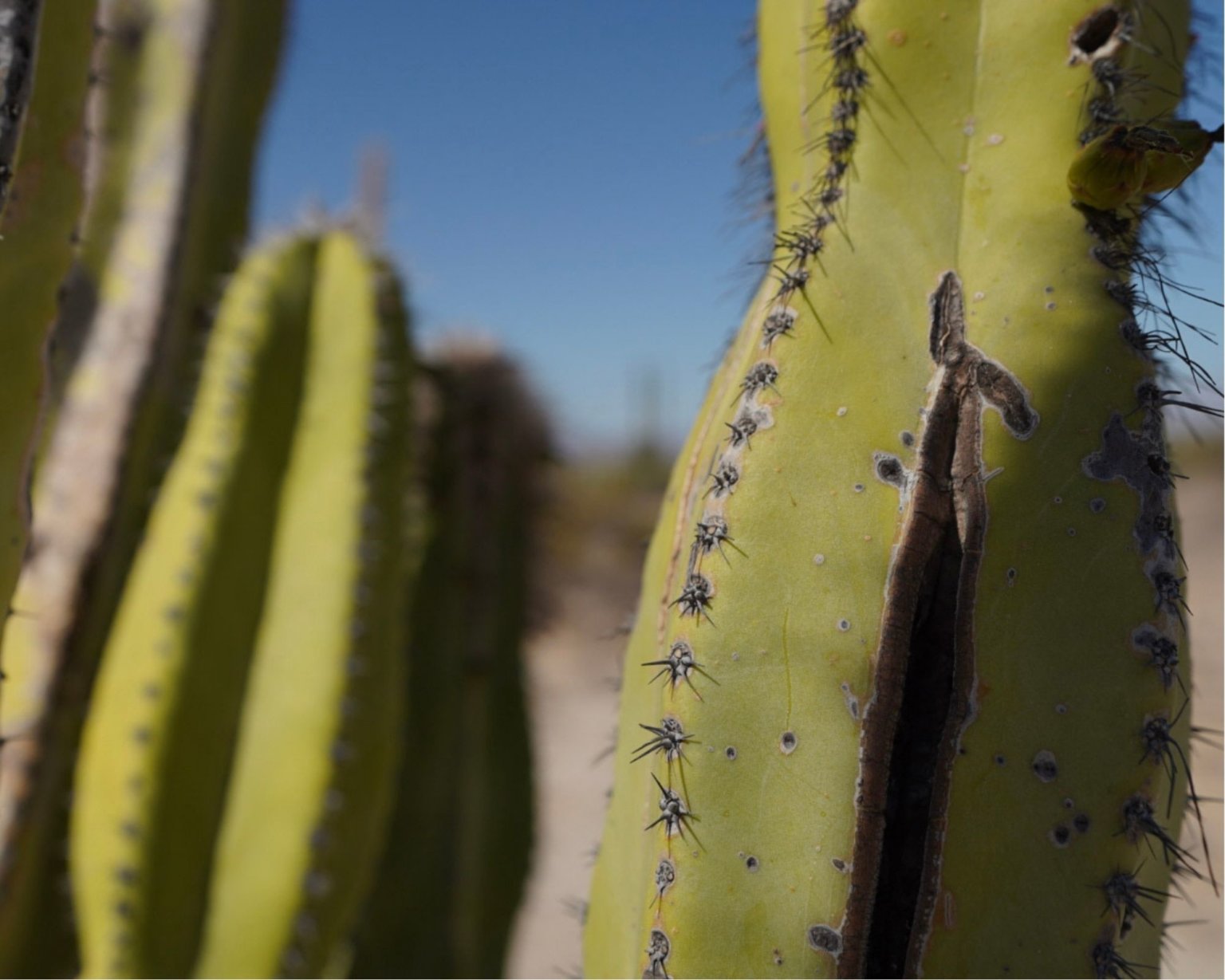 Desert Wear and Hiking Essentials for the American Southwest