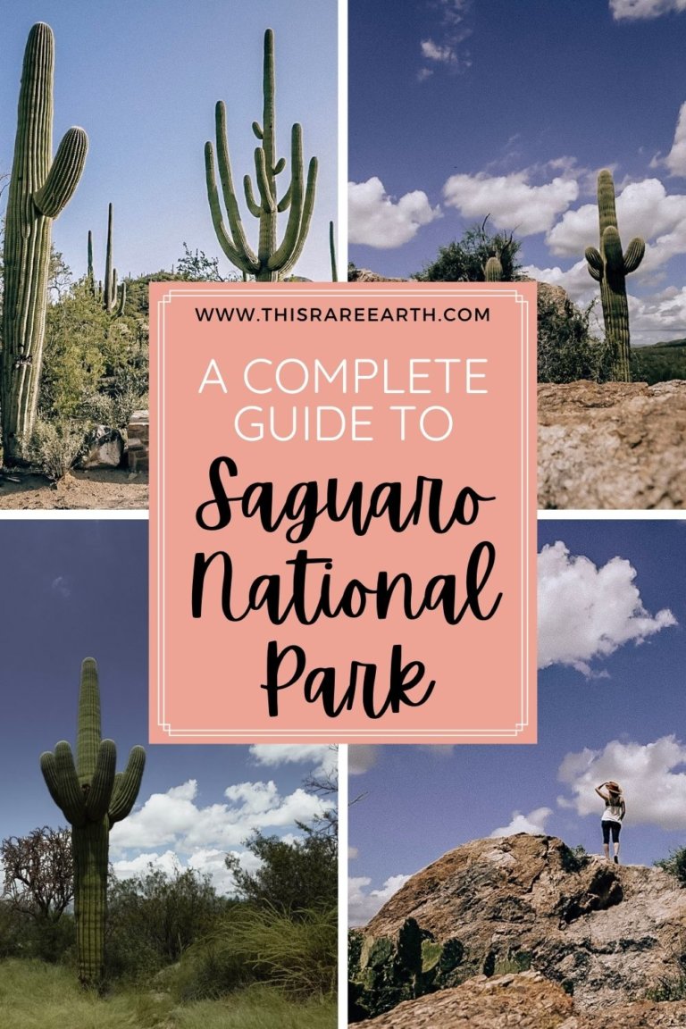 A Complete Guide to Saguaro National Park - This Rare Earth