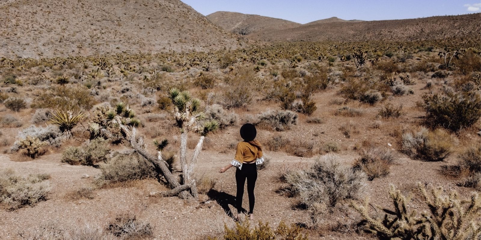 Ten Desert Hiking Safety Tips - This Rare Earth