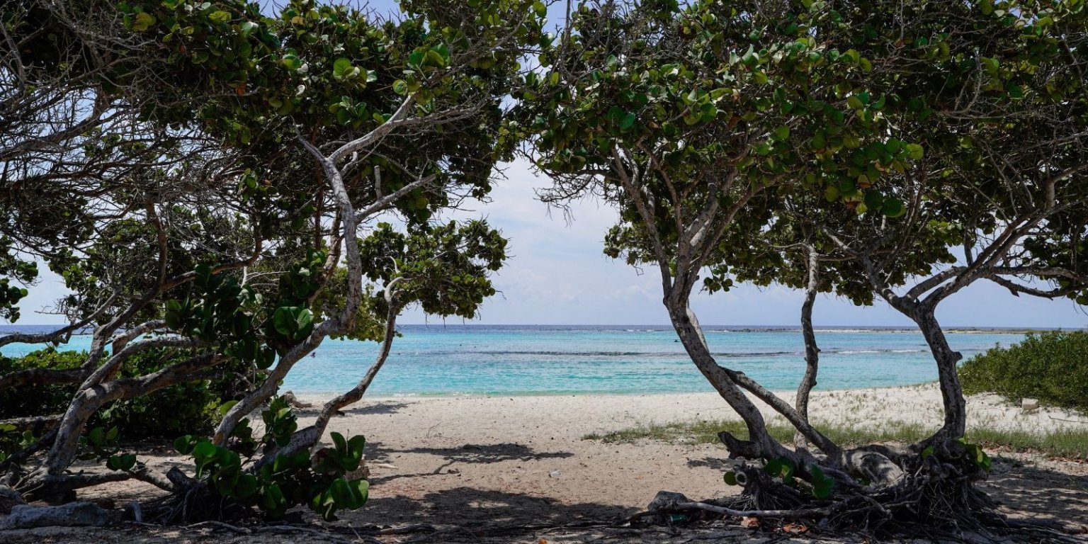 Visiting Quadirikiri Cave, Aruba - This Rare Earth