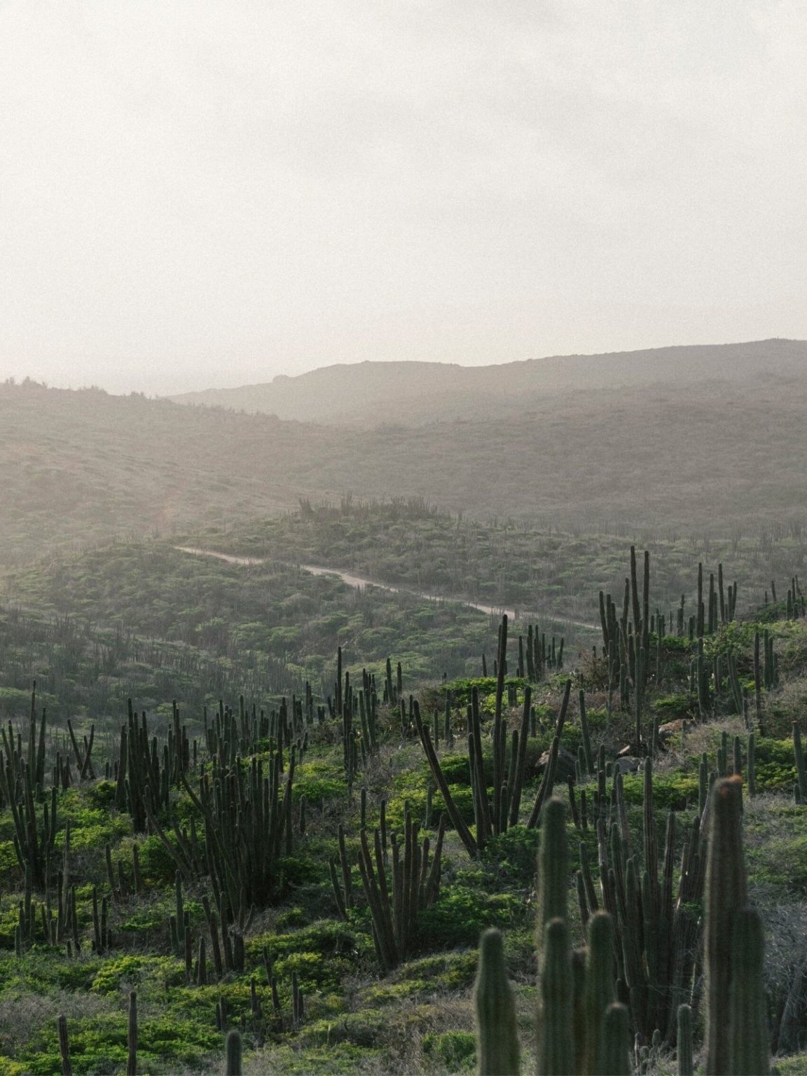 The Ultimate Aruba Packing List for Women - This Rare Earth