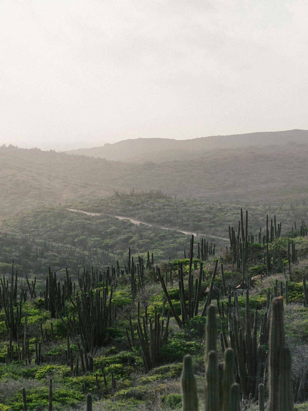 The Ultimate Aruba Packing List for Women - This Rare Earth