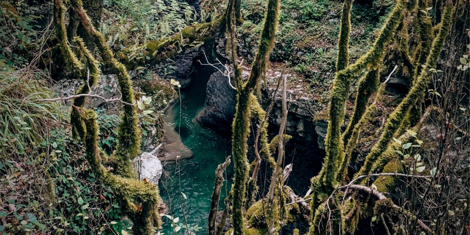 A Complete Guide to Visiting Martvili Canyon, Georgia - This Rare Earth