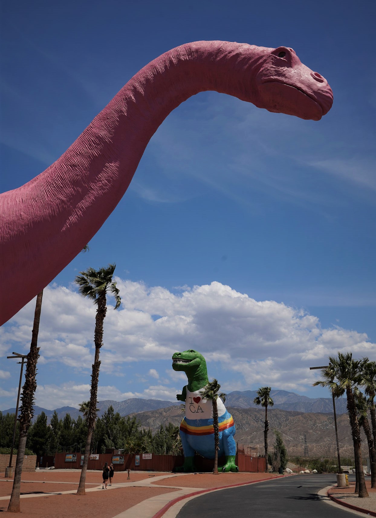 A Los Angeles to Joshua Tree Road Trip - This Rare Earth