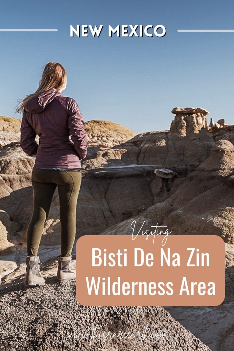 All About the Bisti Badlands / De Na Zin Wilderness - This Rare Earth