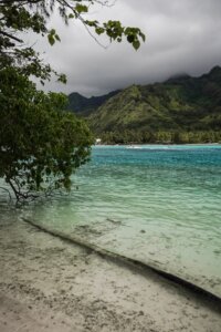 Coco Beach Moorea: A Complete Review - This Rare Earth