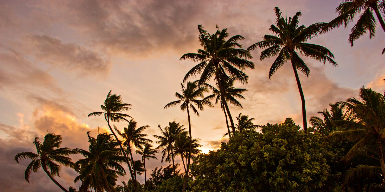 A Moorea Hiking Guide - This Rare Earth