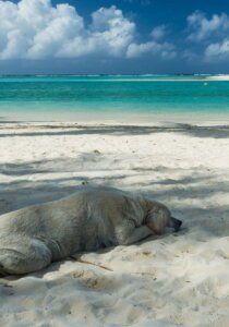 23 Interesting Facts About the Cook Islands - This Rare Earth