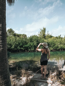 13 Warmest Places in Florida in February - This Rare Earth